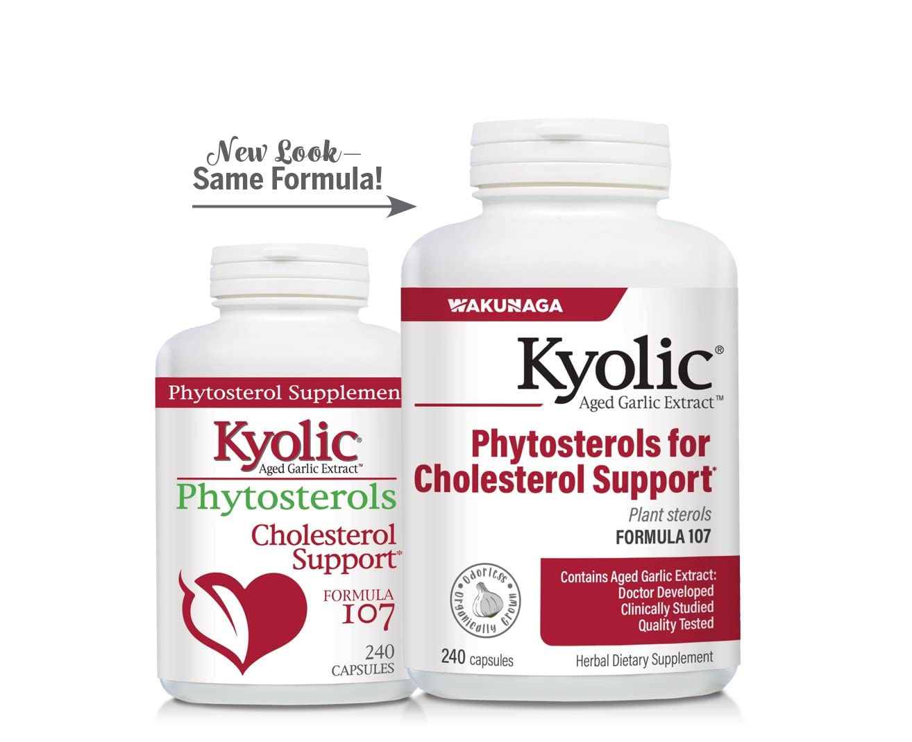 Kyolic Aged Garlic Extract Formula 107, Phytosterols for Cholesterol Support, 240 Capsules (Packaging May Vary)