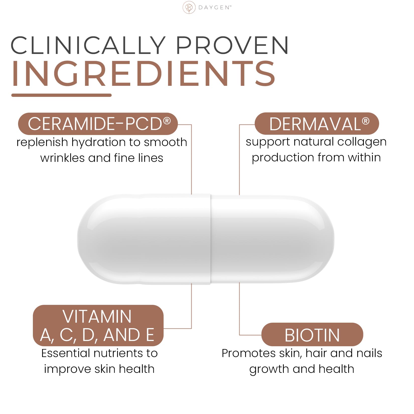 DAYGEN Phytoceramides Radiant Skin with Ceramides & Dermaval - Restore Skin Moisture, Support Collagen Production, with Biotin and Vitamins A,C,D and E – Gluten Free, Natural, 30 Capsules