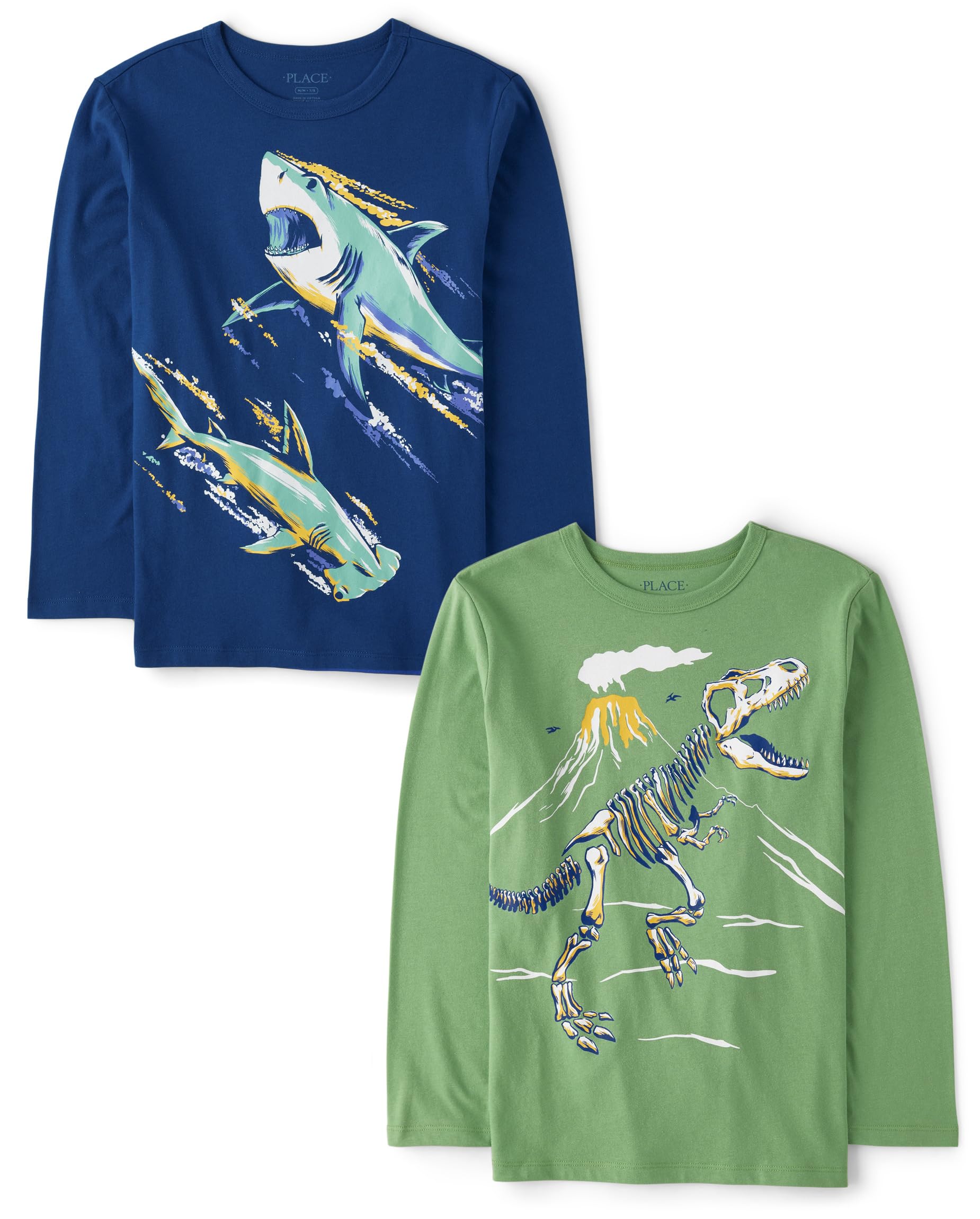 The Children's Place,Long Sleeve Graphic T-Shirt 2-Pack,Greta Green,Large (10/12)