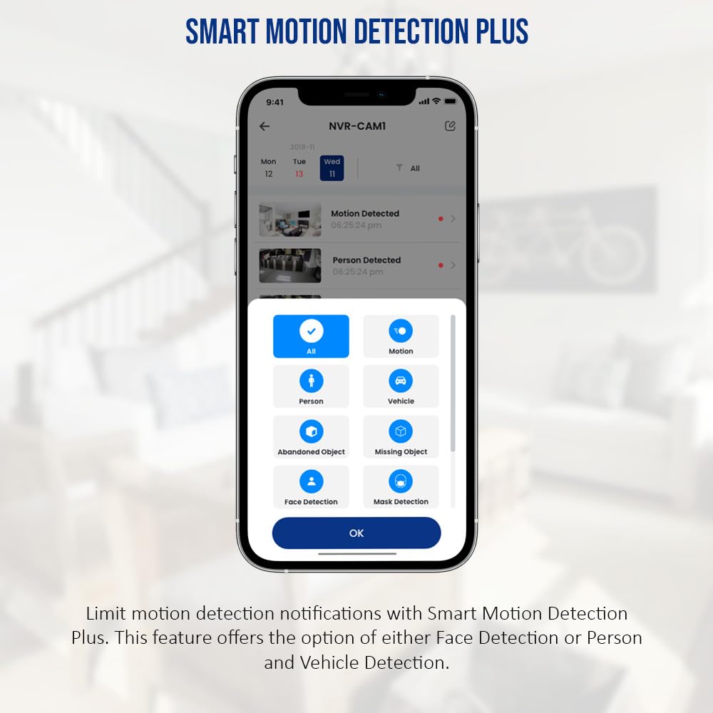 Lorex 4K Ultra HD Smart Deterrence IP 8MP Remote Access Dome Camera with Smart Motion Detection Plus Bundle (2-Pack) (2 Items)
