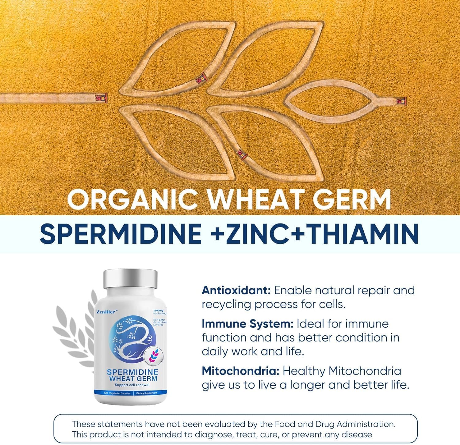 Zenlifer 120 Capsules Spermidine Wheat Germ 1500mg, Spermidine Supplements Wheat Germ Extract with Zinc for Antioxidant and Healthy Aging, Cell Renewal and Immune