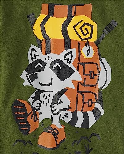 The Children's Place Baby-Boys And Toddler Boys Long Sleeve Graphic T-shirt Camp Racoon 5T