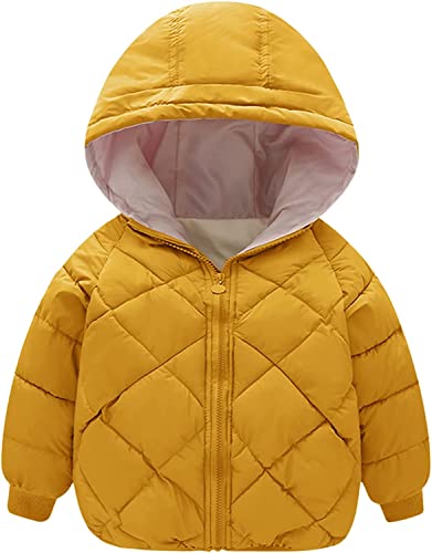 Winter Coats for Baby Boys Girls Solid Winter Thick Warm Hooded Windproof Coat Snowsuit Kids Toddler Outwear (blush Red, Small)
