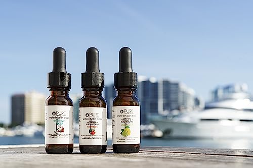 Pure Inventions - Mini Electrolyte Support Bundle Trio - Lemon Lime, Watermelon, Coconut Water - 12 Servings Each - Wellness Drops for Immunity, Wellness, & Hydration - includes Travel Bag