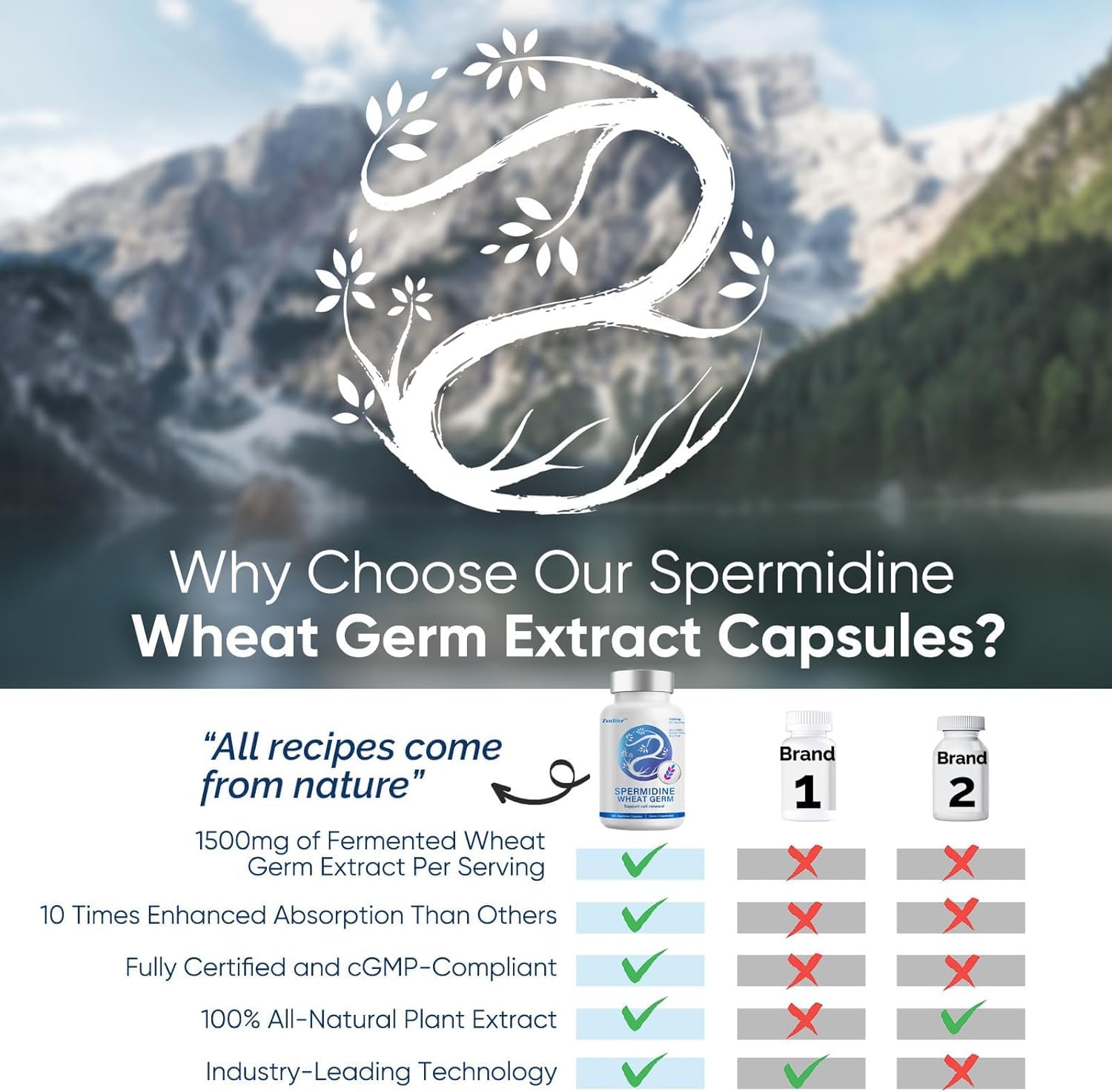 Zenlifer 120 Capsules Spermidine Wheat Germ 1500mg, Spermidine Supplements Wheat Germ Extract with Zinc for Antioxidant and Healthy Aging, Cell Renewal and Immune