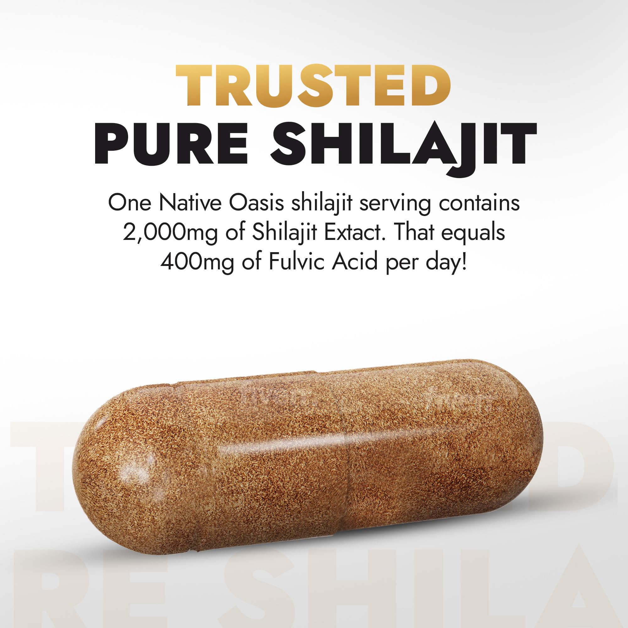 (2 Bottles) Shilajit Supplement for Men & Women | Shilajit Pure Himalayan Organic (2,000 mg) Natural Shilajit Capsules | Fulvic Acid Supplement | Rich with Trace Minerals | 120 Count.