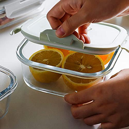 GAGALU Metal Lunch Box Divided Glass Fresh Keeping Box for Family, Two Compartments,with Seal Locking Lids