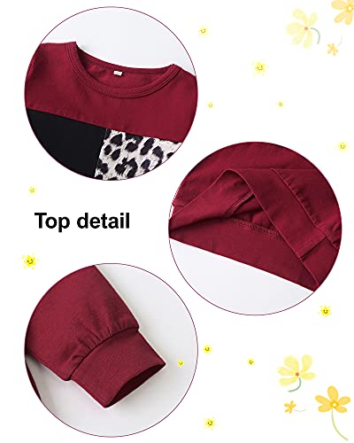 WESIDOM Baby Girl Clothes Sets, 2pcs Autumn Long Sleeve Clothes Outfits Toddler Girl Sweater Sets