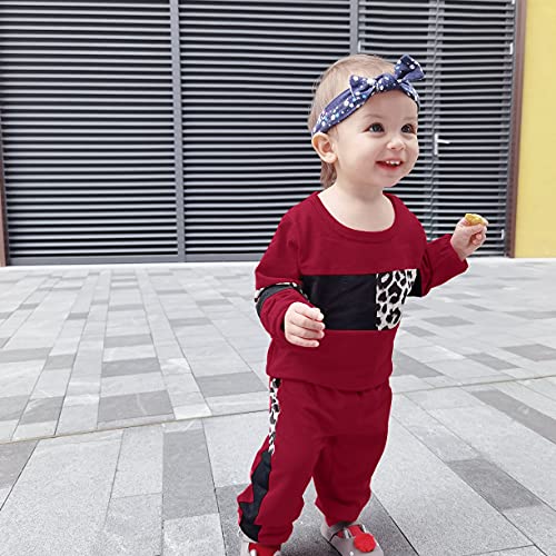 WESIDOM Baby Girl Clothes Sets, 2pcs Autumn Long Sleeve Clothes Outfits Toddler Girl Sweater Sets