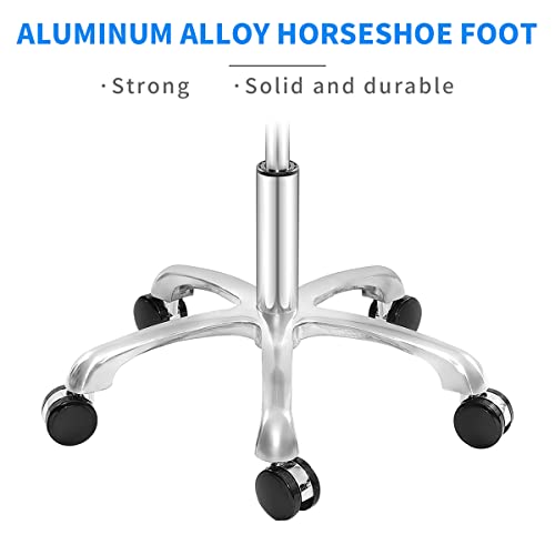 ajorah Adjustable Saddle Chair Stool with Back Rest,Heavy Duty Ergonomic Stool Chair for Laboratory, Clinic, Salon, Manicure,Tattoo (Black, with Backrest)