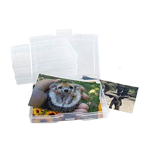 Photo and Craft Keeper – Organize Photos, Jewelry, Electronic Cords, Scrap Paper – 16 Cases Inside 1 Convenient Carrying case – Holds up to 1600 Photos (Clear)