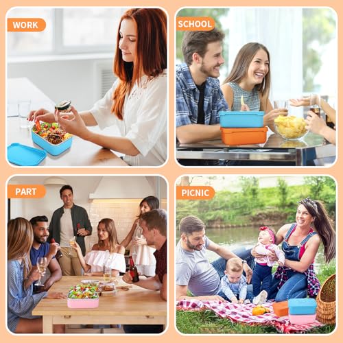 LEGELITE Bento Lunch Box Container, Stainless Steel Bento Box with Removeable Compartments and 2 sauce cups, Dishwasher, Freezer Safe, BPA-Free -Sage (Orange)
