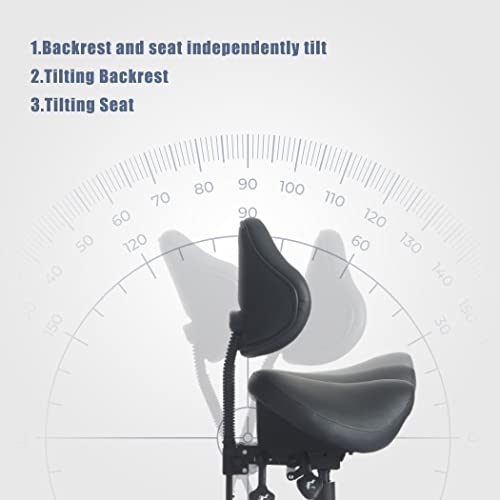 Eognyzie Adjustable Saddle Stool Chairs with Back Support Ergonomic Rolling Esthetician Seat for Salon Tattoo Shop Spa Home Dentist Clinic