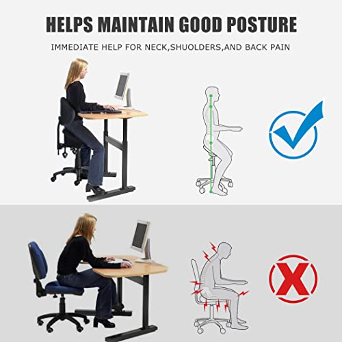 Eognyzie Adjustable Saddle Stool Chairs with Back Support Ergonomic Rolling Esthetician Seat for Salon Tattoo Shop Spa Home Dentist Clinic