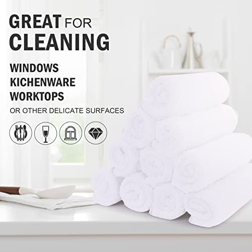 SWEET DOLPHIN Kitchen Dishcloths Dish Towels Rayon Made from Bamboo, Super Absorbent Cleaning Cloths, 7 x 9 Inch, 10 Pack, White