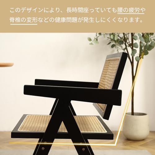 OSJ(オーエスジェイ) WF311175BAA Dining Chair, 中, Black