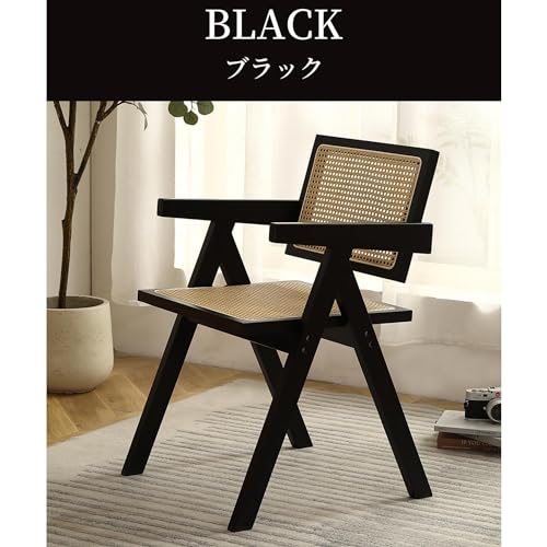 OSJ(オーエスジェイ) WF311175BAA Dining Chair, 中, Black