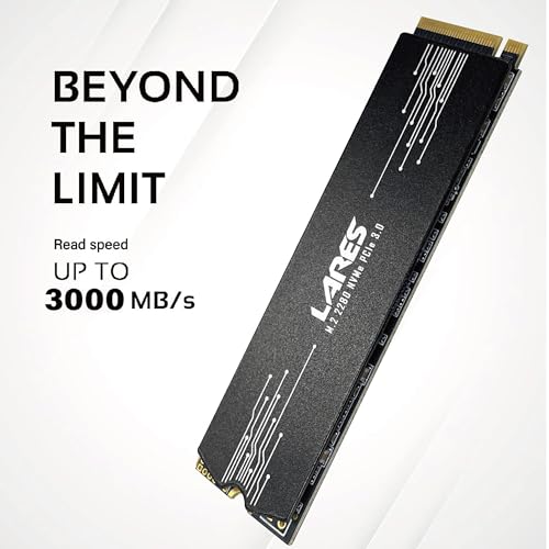 LEVEN JPS600 1TB PCIe NVMe Gen3x4 PCIe M.2 2280 SSD with Thermal Pad and Heat Sink