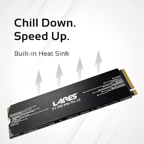 LEVEN JPS600 1TB PCIe NVMe Gen3x4 PCIe M.2 2280 SSD with Thermal Pad and Heat Sink