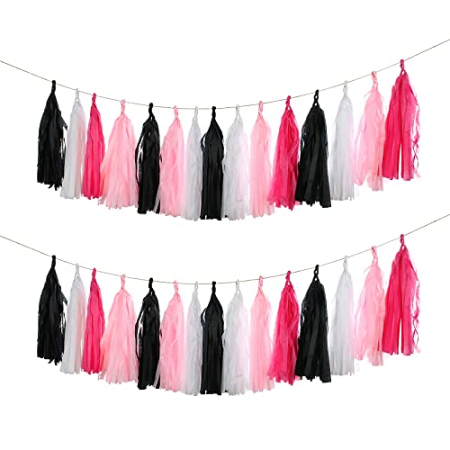 Meetppy GUZON 20PCS Hot Pink Black White Tassel Garland Party Decoration, Wedding Bachelorette Birthday Anniversary Party Decorations Backdrop Décor