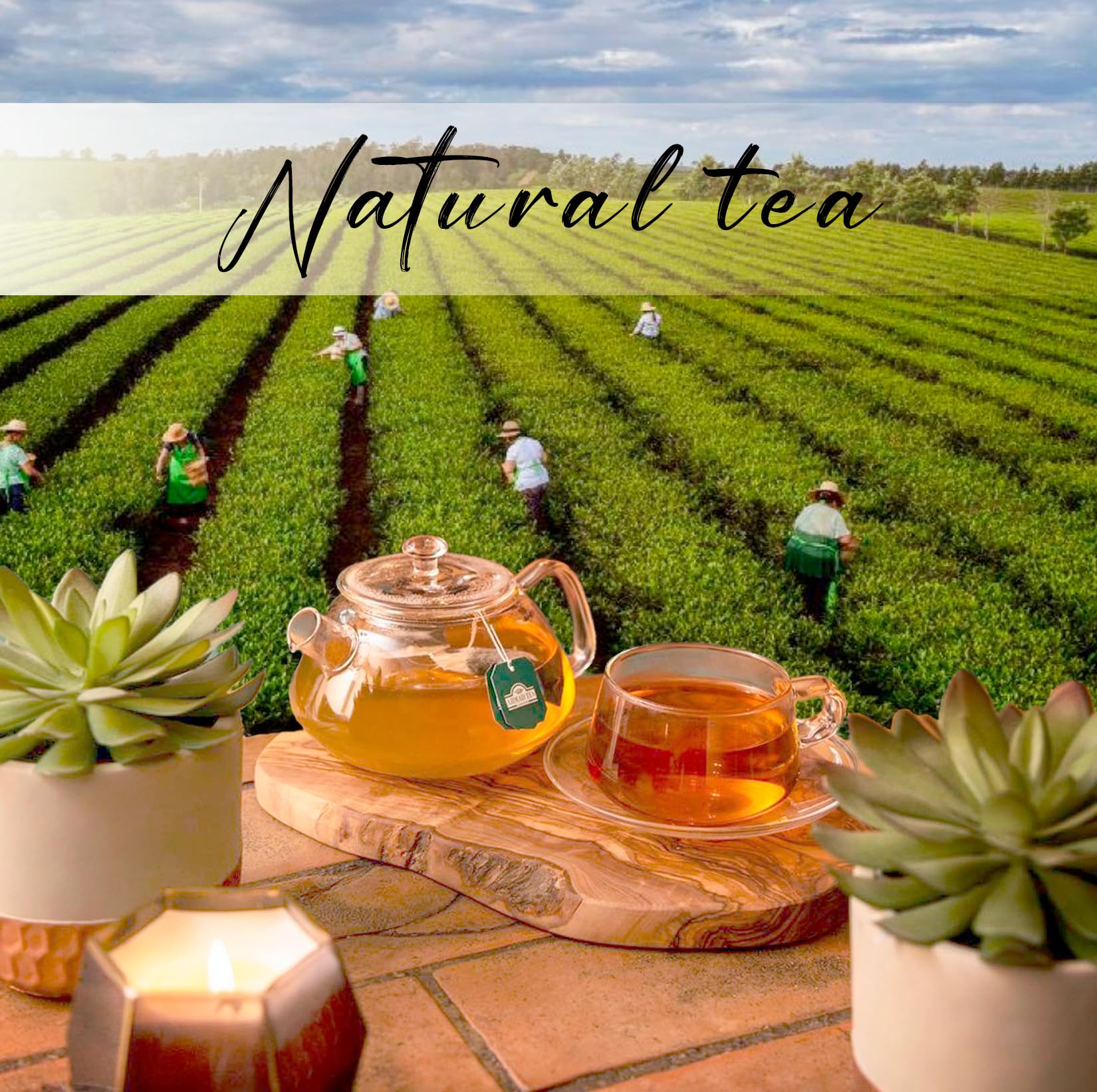 Premiun Tea Sampler Assortment Box (62 Count) 31 Flavors Variety AHMA Assortment Tea Bags Gift for Mom Dad Women Men Friends giftable box - assorted tea bags gifts for tea lovers