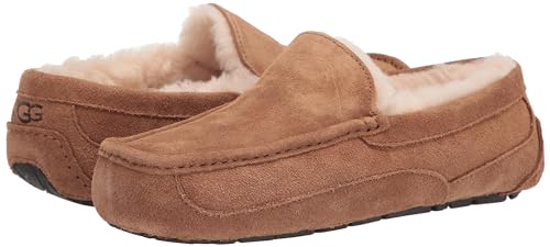 UGG Men's Ascot Slipper, Chestnut, 10