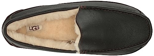 UGG Men's Ascot Slipper, Dark Spice, 9