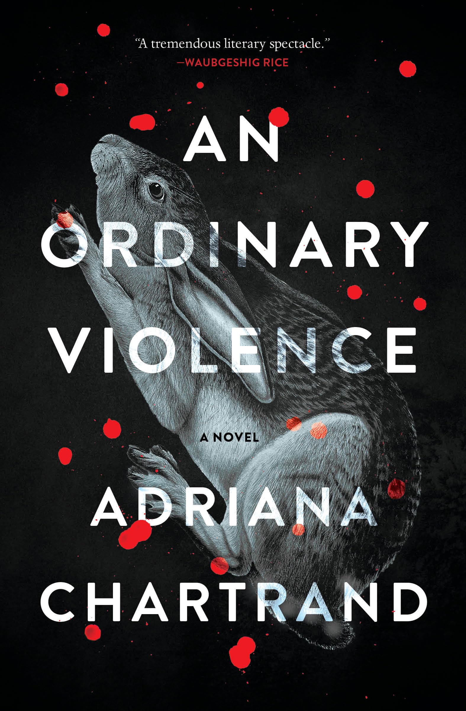 An Ordinary Violence: A Novel
