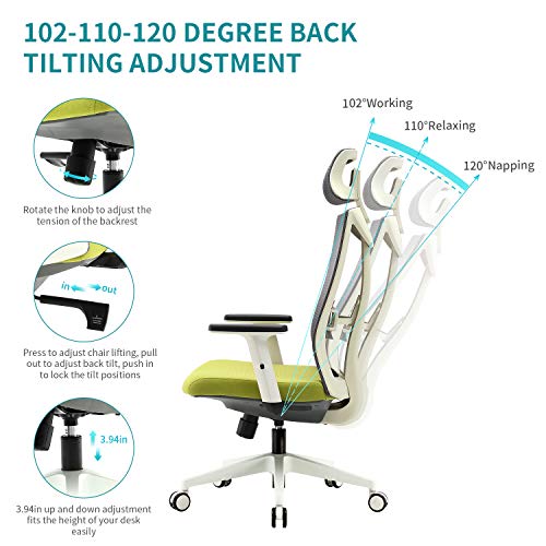 SIHOO Ergonomic Office Chair with Adjustable Lumbar Support and Armrests,Breathable Mesh Back and Padded Seat Desk Chair, Computer Chair for Work(Gray)