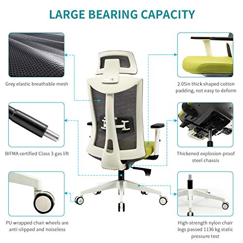 SIHOO Ergonomic Office Chair with Adjustable Lumbar Support and Armrests,Breathable Mesh Back and Padded Seat Desk Chair, Computer Chair for Work(Gray)