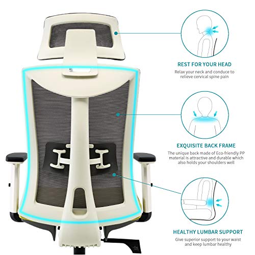 SIHOO Ergonomic Office Chair with Adjustable Lumbar Support and Armrests,Breathable Mesh Back and Padded Seat Desk Chair, Computer Chair for Work(Gray)