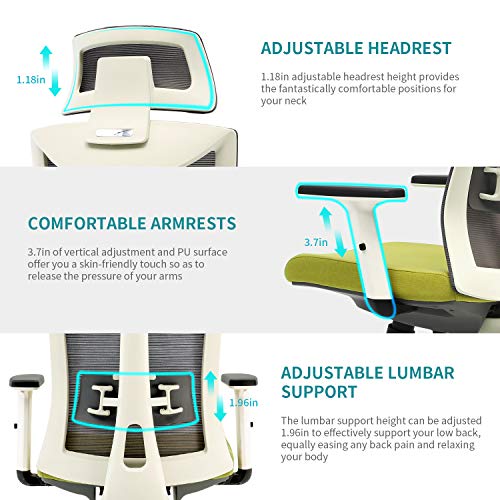 SIHOO Ergonomic Office Chair with Adjustable Lumbar Support and Armrests,Breathable Mesh Back and Padded Seat Desk Chair, Computer Chair for Work(Gray)