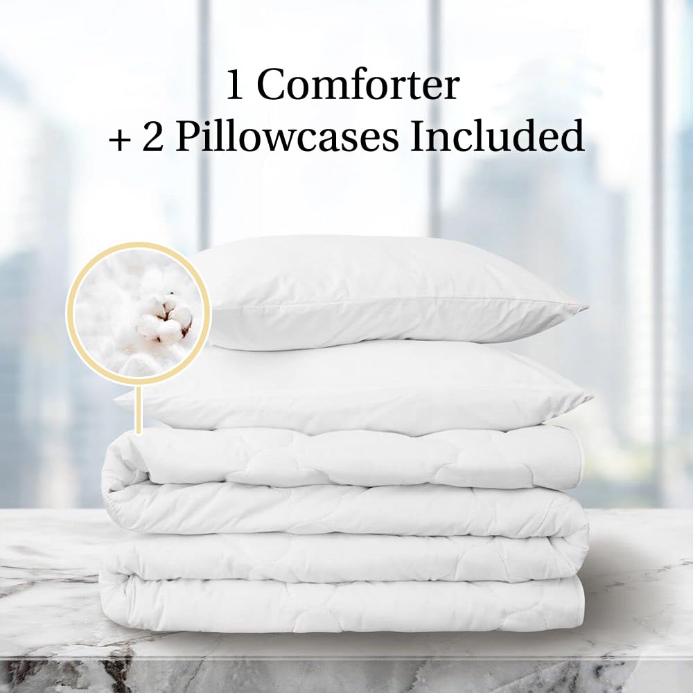 Personalized Koala Comforter Queen - Koala Comforter Twin Size, Koala Bed Set Twin Koala Comforter Set for Boys Girls Koala Bedding Sets Lightweight, Koala Bed Sets Queen Size Koala Comforter Set