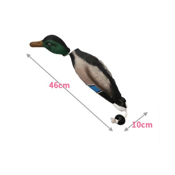 HUNTARMOR Duck Dummy Bumper Toy: Bird Training Dummy for Training Hunting Dogs, Mimics Dead Duck Bumper Toy for Waterfowl Hunting Retriever Dog Training, Dog Bumper Hunting Dog Accessories