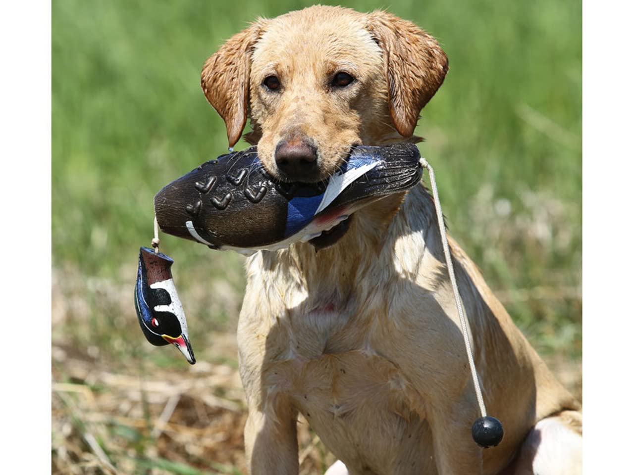HUNTARMOR Duck Dummy Bumper Toy: Bird Training Dummy for Training Hunting Dogs, Mimics Dead Duck Bumper Toy for Waterfowl Hunting Retriever Dog Training, Dog Bumper Hunting Dog Accessories