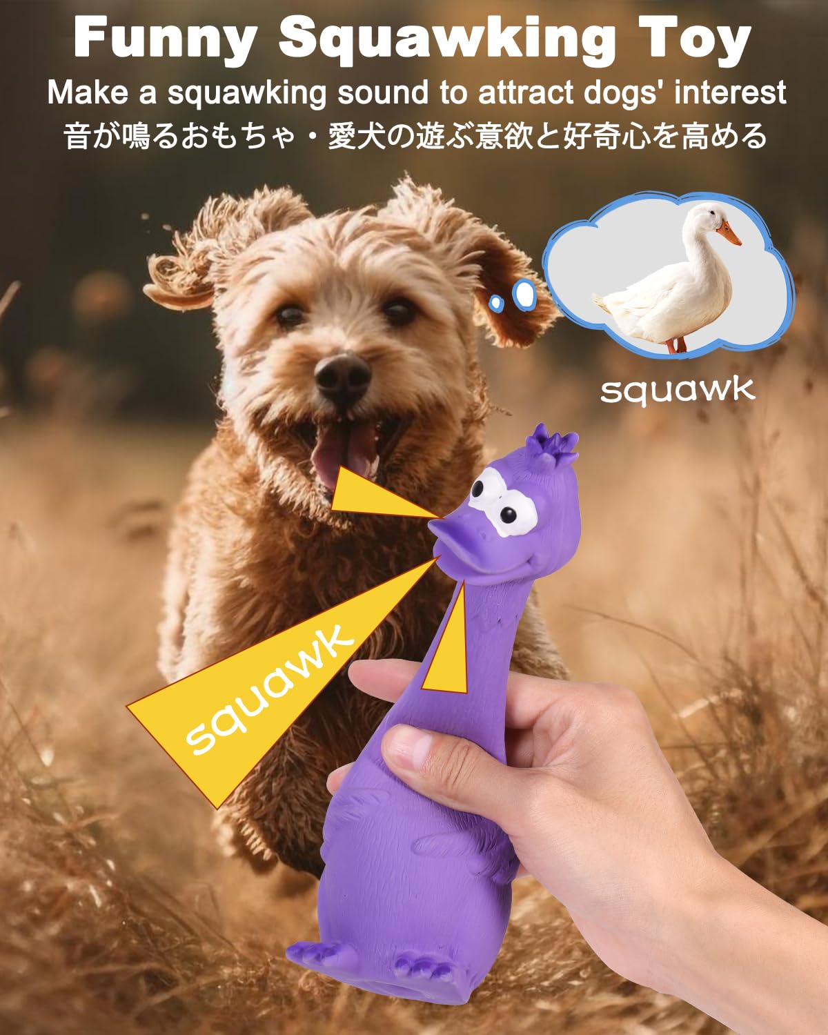 SCHITEC Squeaky Dog Toys, [2 Pack] Squawking Latex Toy with Interactive Squeaker, Squeak Rubber Duck Chicken for Medium Small Dogs