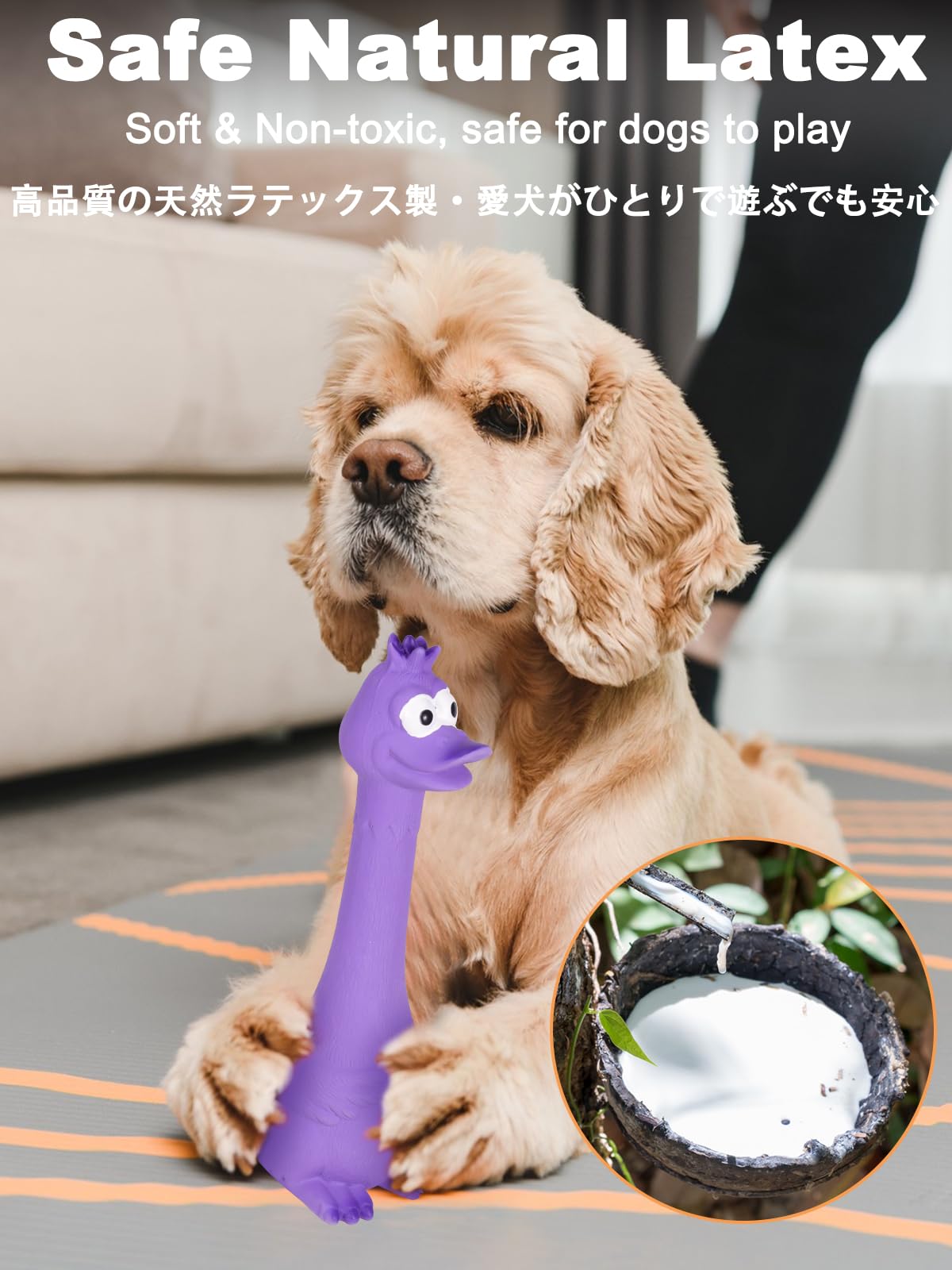 SCHITEC Squeaky Dog Toys, [2 Pack] Squawking Latex Toy with Interactive Squeaker, Squeak Rubber Duck Chicken for Medium Small Dogs