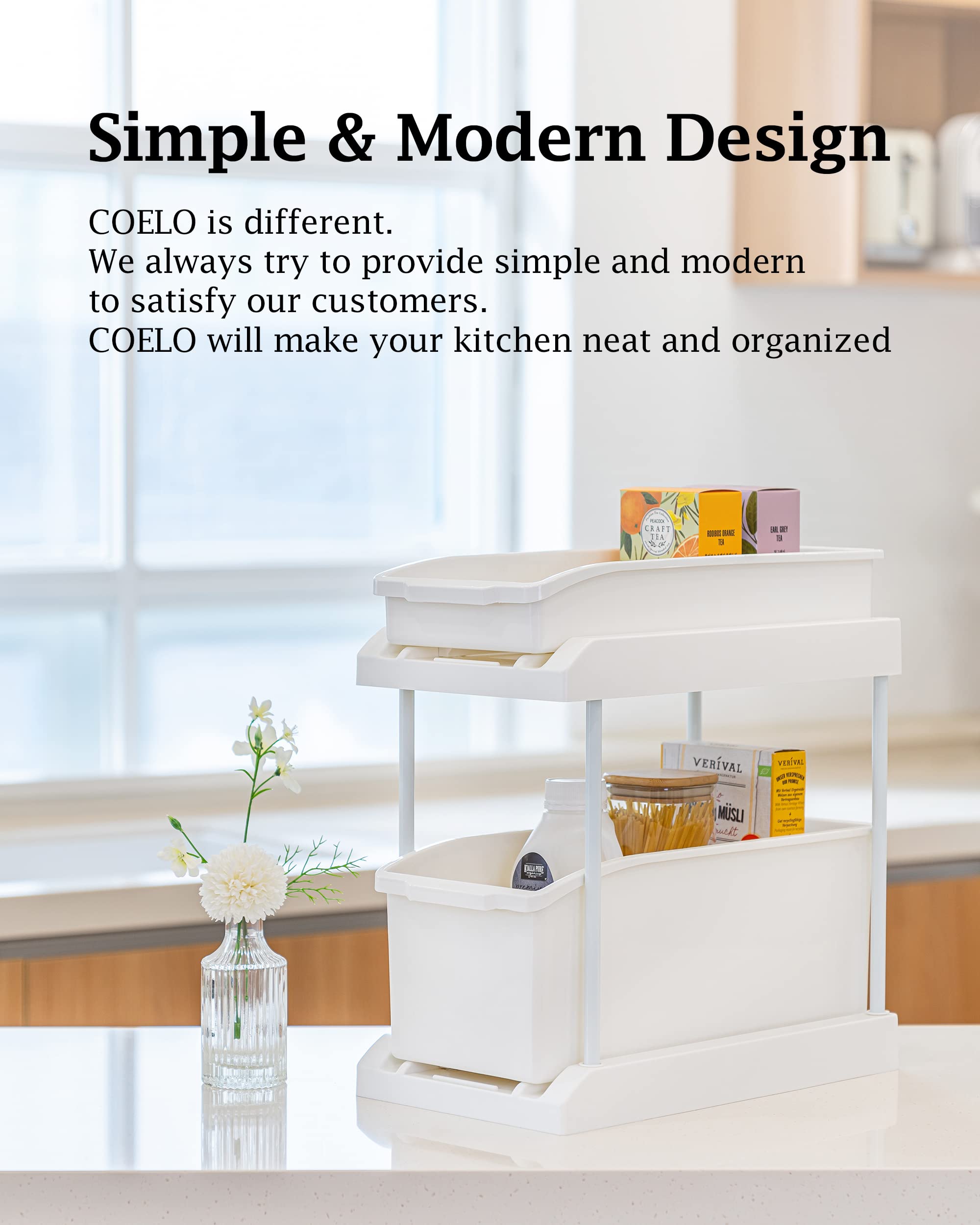 COELO Under Sink Organizer 2-Tier Shelf Kitchen Bathroom Cabinet Multi-purpose Multi-use Dish Brush Storage Sponge Holder Standing Rack, White