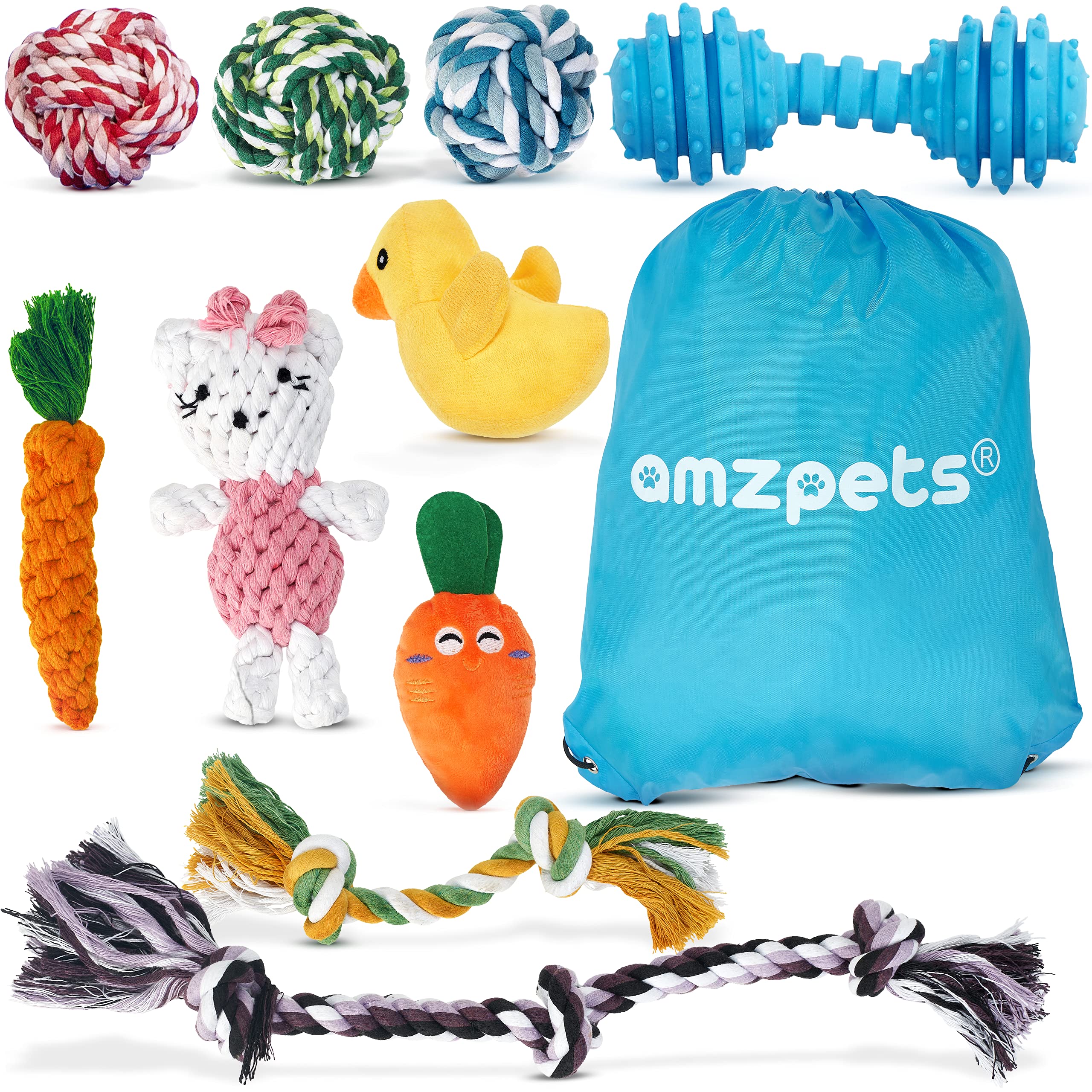 AMZpets 10 Dog Toys for Small Dogs and Puppies, Squeaky Dog Toys Rope Toys for Plush Games, with Chewing Ropes/Balls/Rubber Bone/Carry Bag, Variety Playing Toys Set for Toss and Tug Play