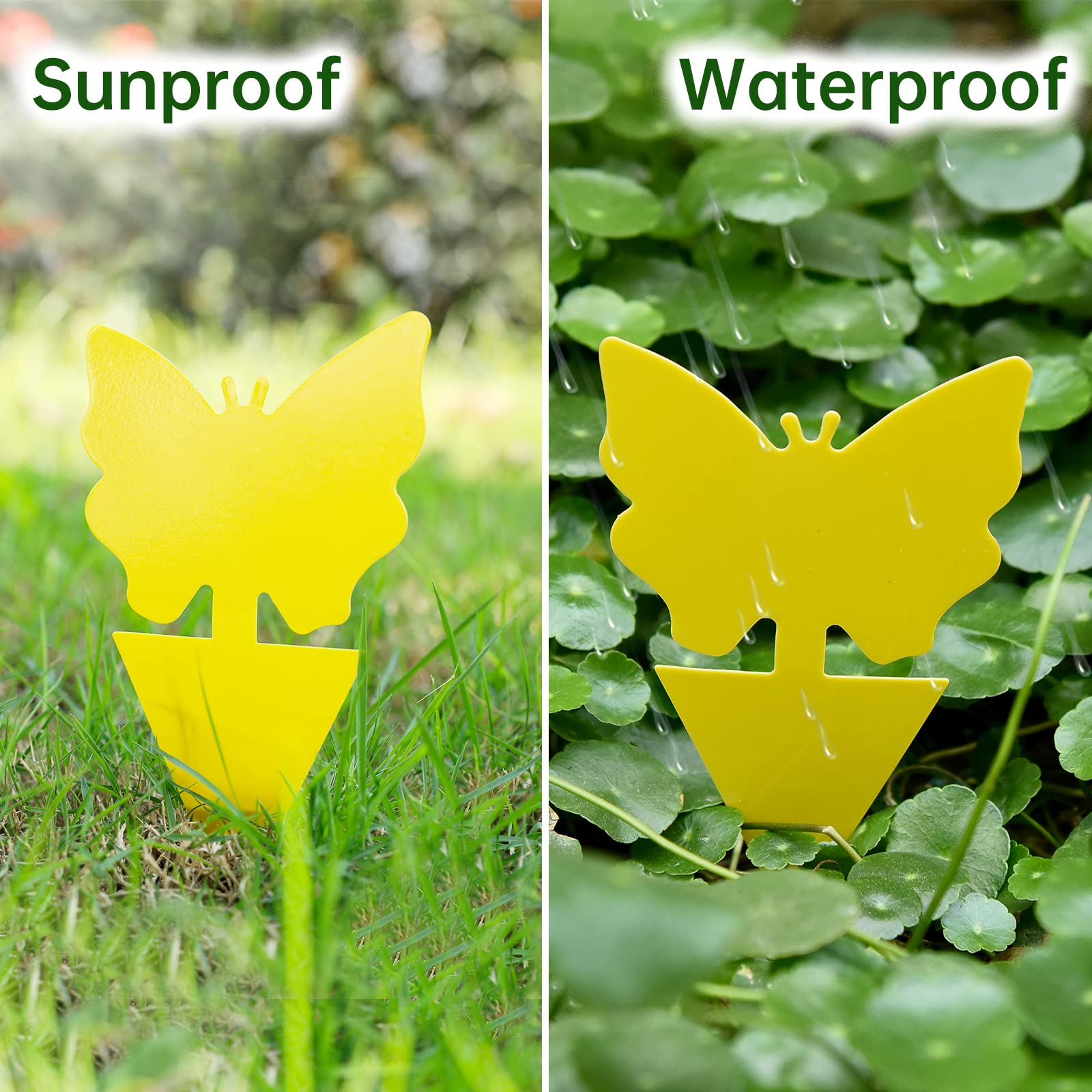 ALLRoad Fungus Gnat Sticky Traps for Plant 54 Pcs Fruit Fly Trap Yellow Sticky Gnat Killer for Indoor Outdoor Catch Bug, Whitefly, Mosquitos, Flying Insects