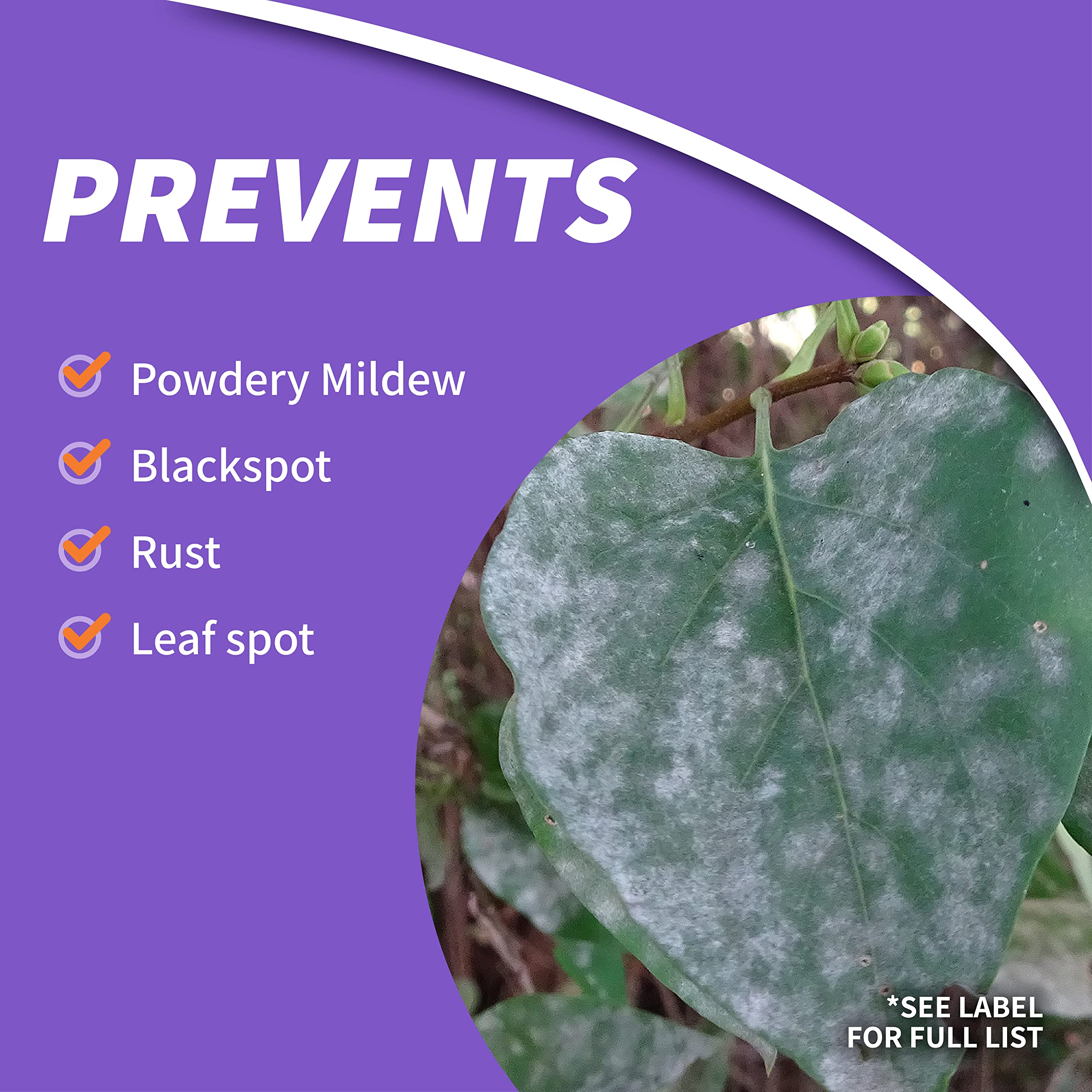 Bonide Rose Shield Spray, 64 oz Ready-to-Use, Insect and Disease Protection for Roses, Flowers and Ornamentals