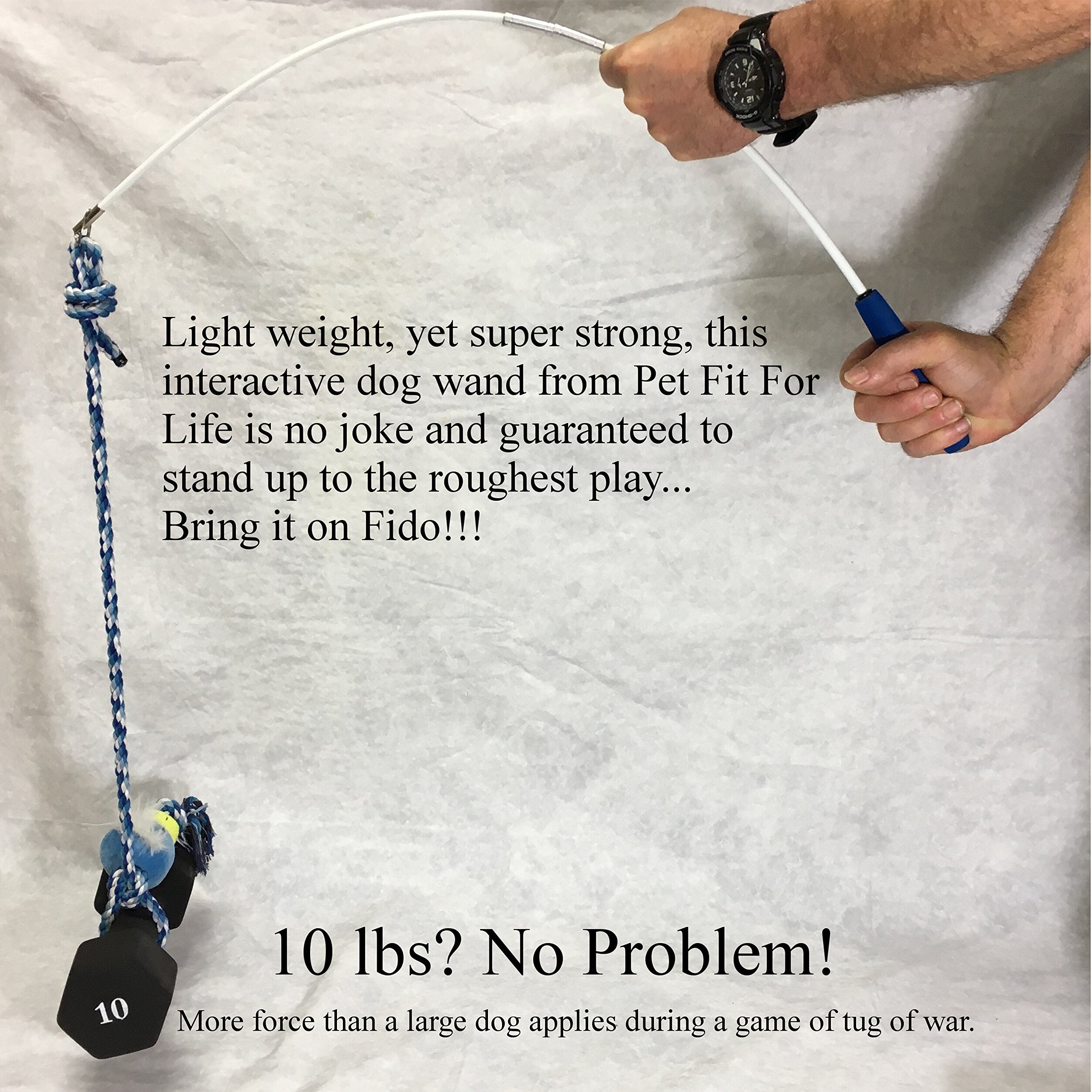 Pet Fit For Life Plush Tough and Durable Squeaky Dog/Puppy Wand Rope Toy - Duck on Rope Teaser Wand