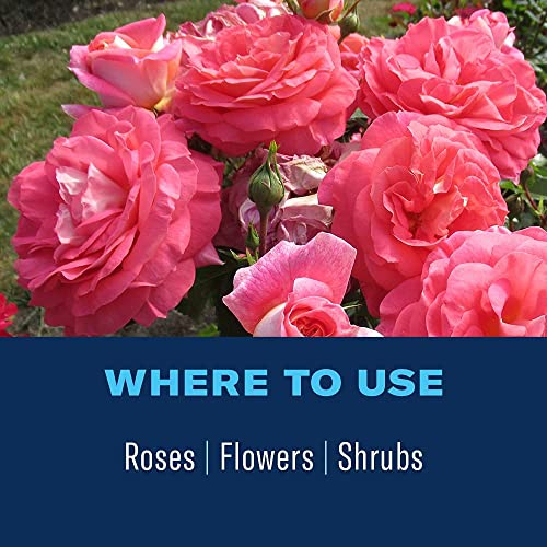 BioAdvanced 2-in-1 Systemic Rose and Flower Care II, Granules, 5 lb with BioAdvanced Rose and Flower Insect Killer, Ready-to-Use, 24 oz
