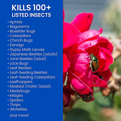 BioAdvanced 2-in-1 Systemic Rose and Flower Care II, Granules, 5 lb with BioAdvanced Rose and Flower Insect Killer, Ready-to-Use, 24 oz