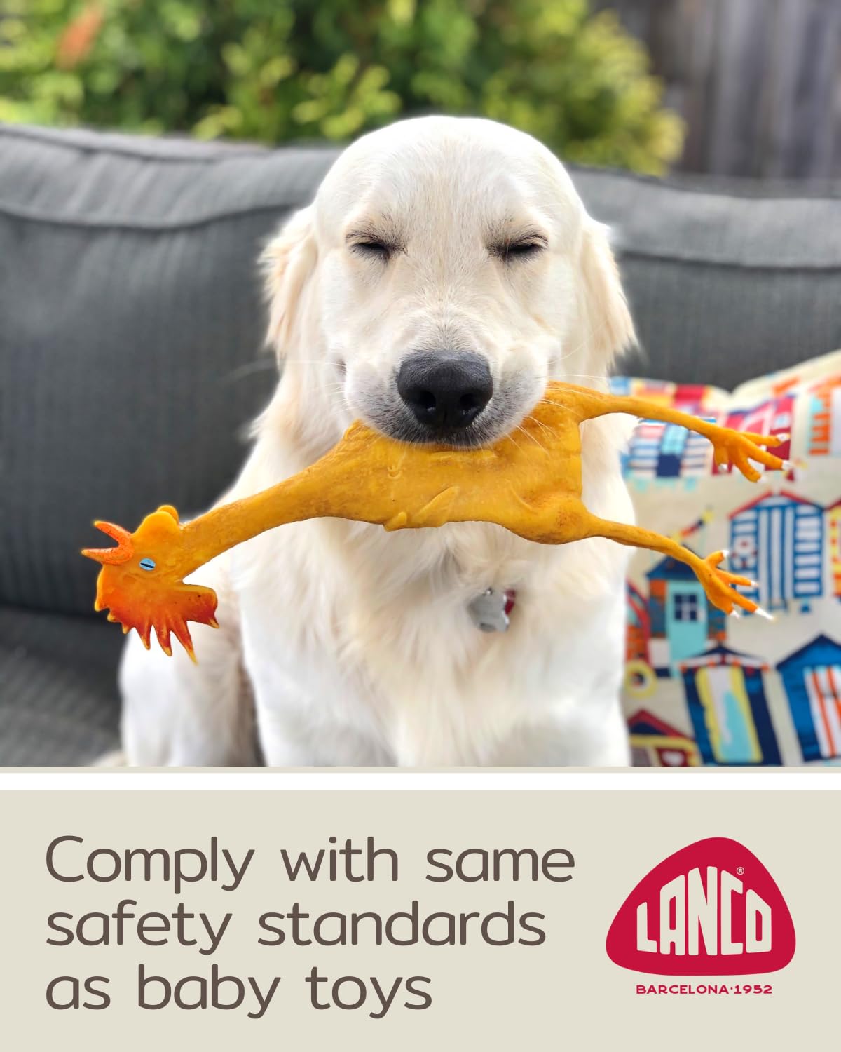 Rubber Chicken Dog Toys - Natural Rubber (Latex) - Lead-Free Chemical-Free - Handpainted - Soft Unstuffed Squeaky (Medium)