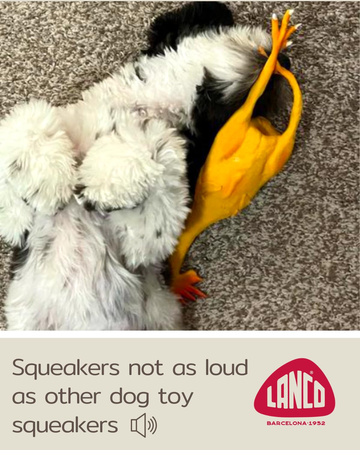 Rubber Chicken Dog Toys - Natural Rubber (Latex) - Lead-Free Chemical-Free - Handpainted - Soft Unstuffed Squeaky (Medium)
