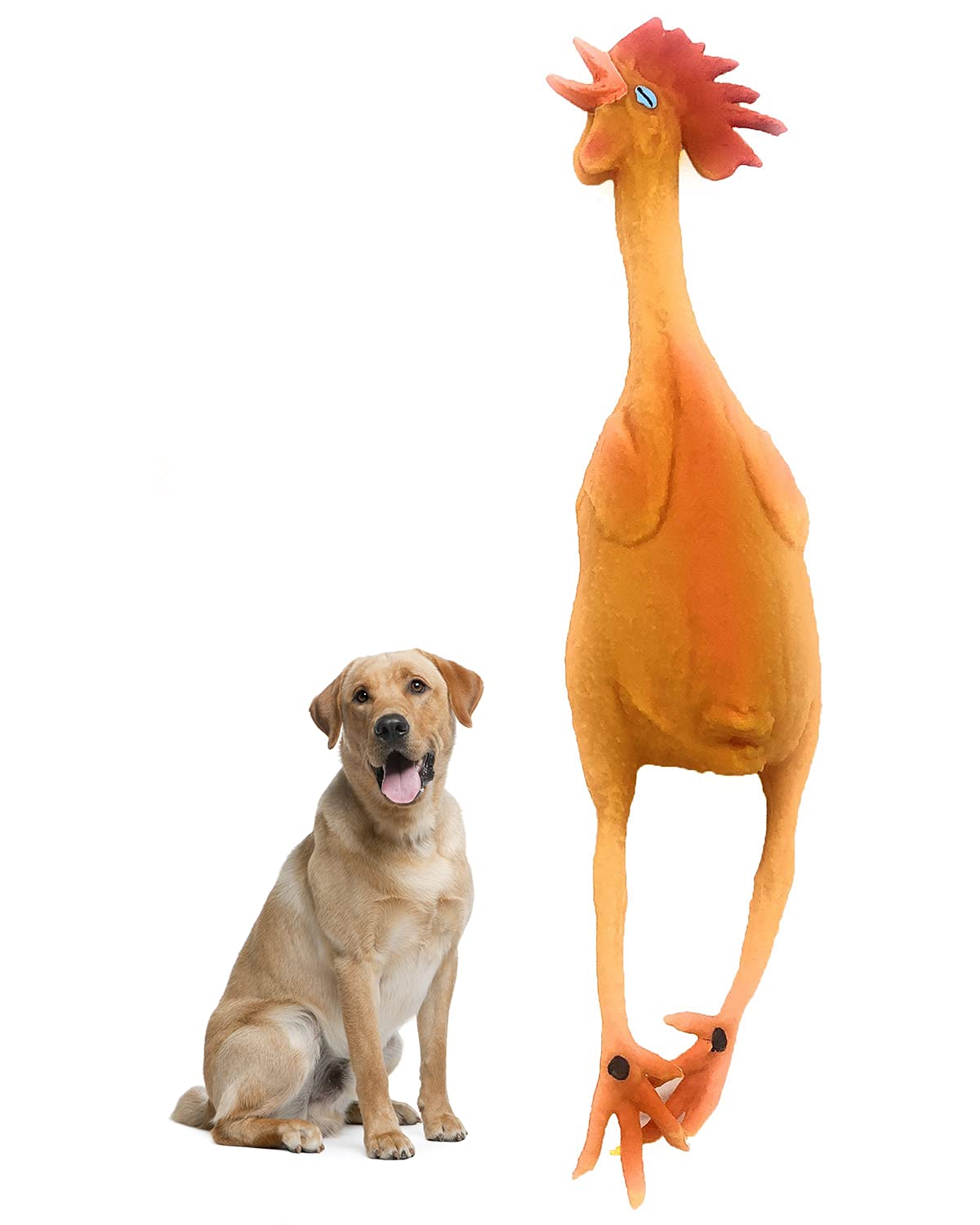 Rubber Chicken Dog Toys - Natural Rubber (Latex) - Lead-Free Chemical-Free - Handpainted - Soft Unstuffed Squeaky (Medium)