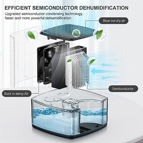 ToLife Dehumidifiers for Home 30 OZ Water Tank with Auto-Off 500 sq.ft Portable Small Dehumidifier for Bathroom Bedroom RV Closet Room 7 Colors LED Light, Black