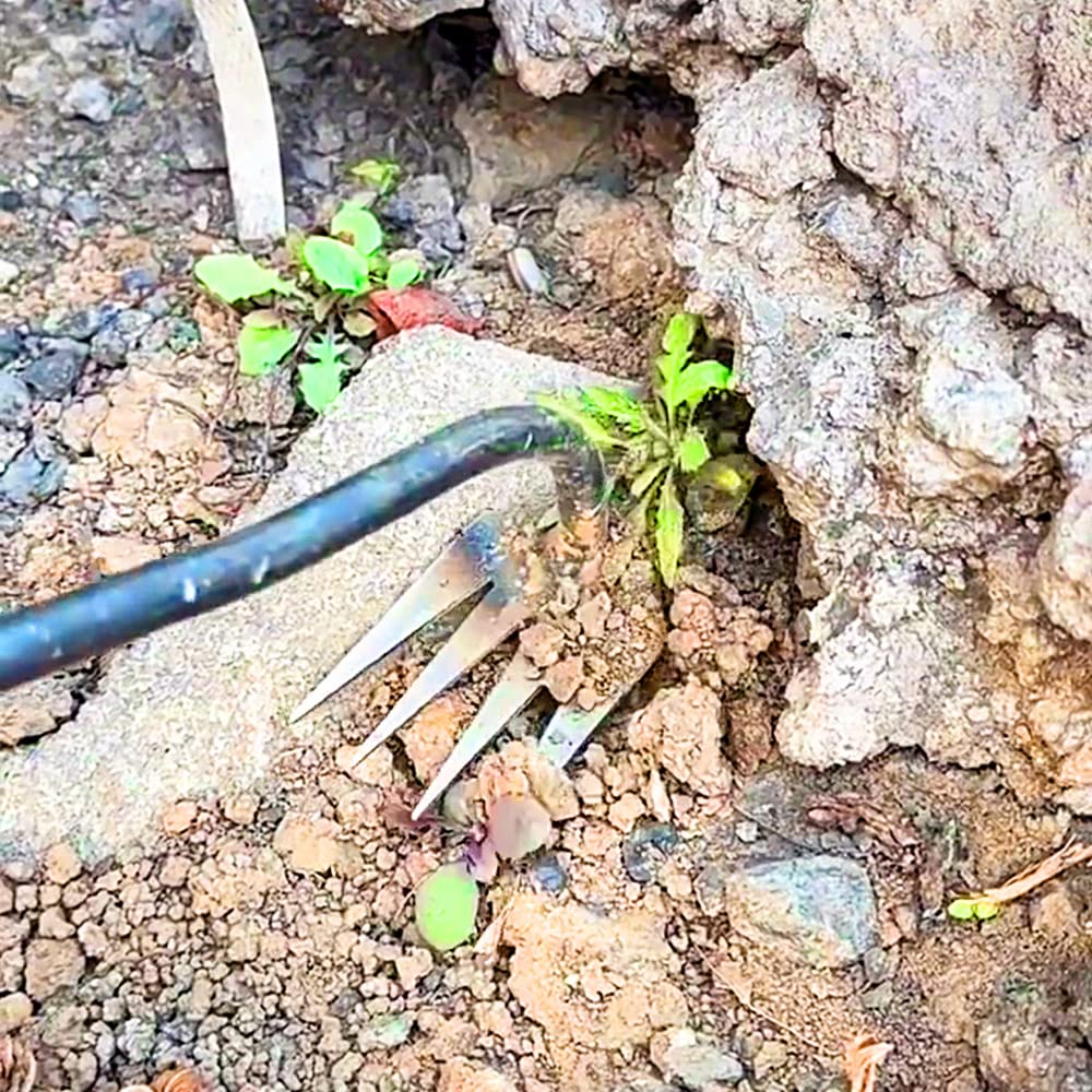 New Weeding Artifact Uprooting Weeding Tool, Upgrade Garden Weed Pulling Tool, Manganese Steel Forged Weed Puller 4 Teeth Dual Purpose Weeder with Handle for Garden Yard Farm (B-Iron Handle)