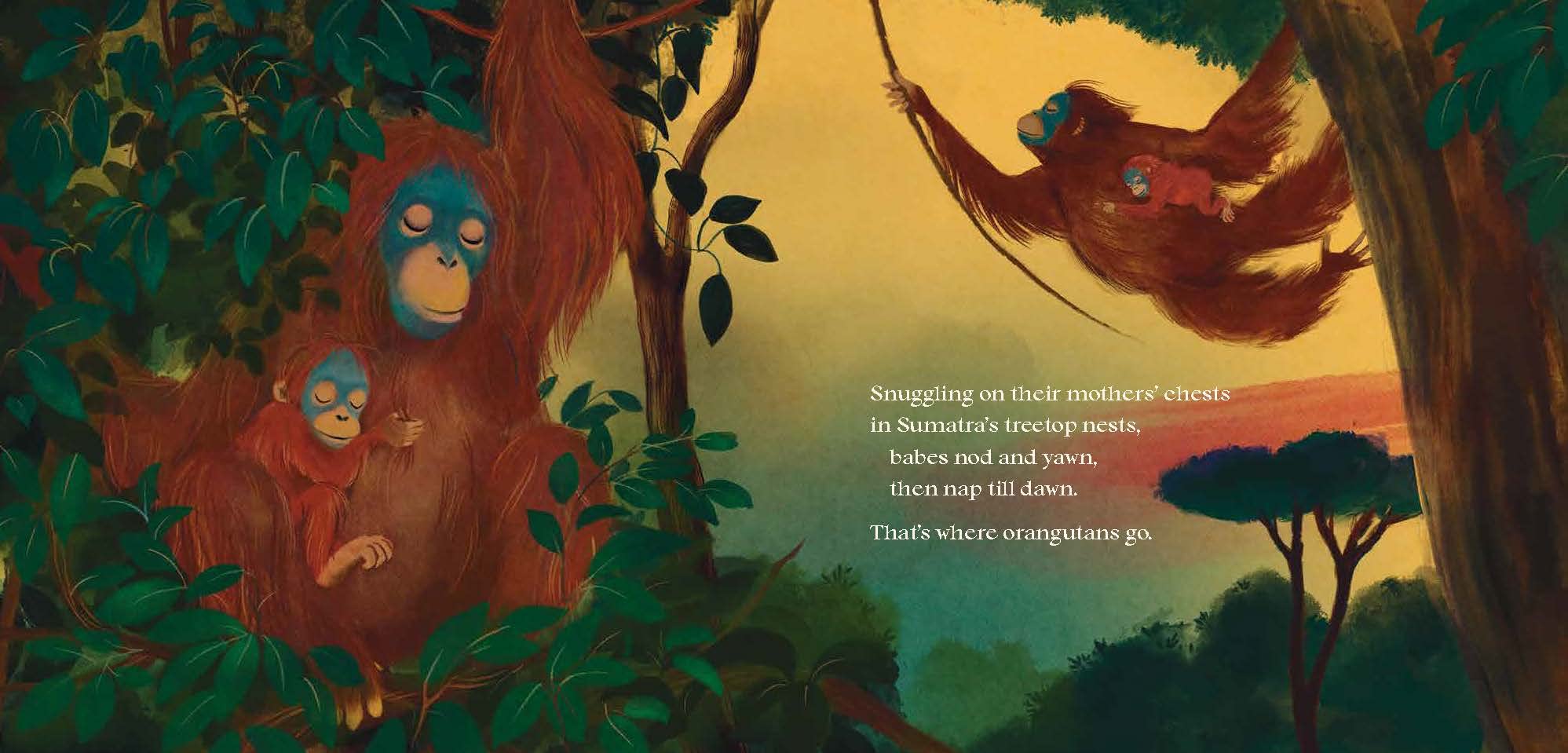 Where the Wee Ones Go: A Bedtime Wish for Endangered Animals